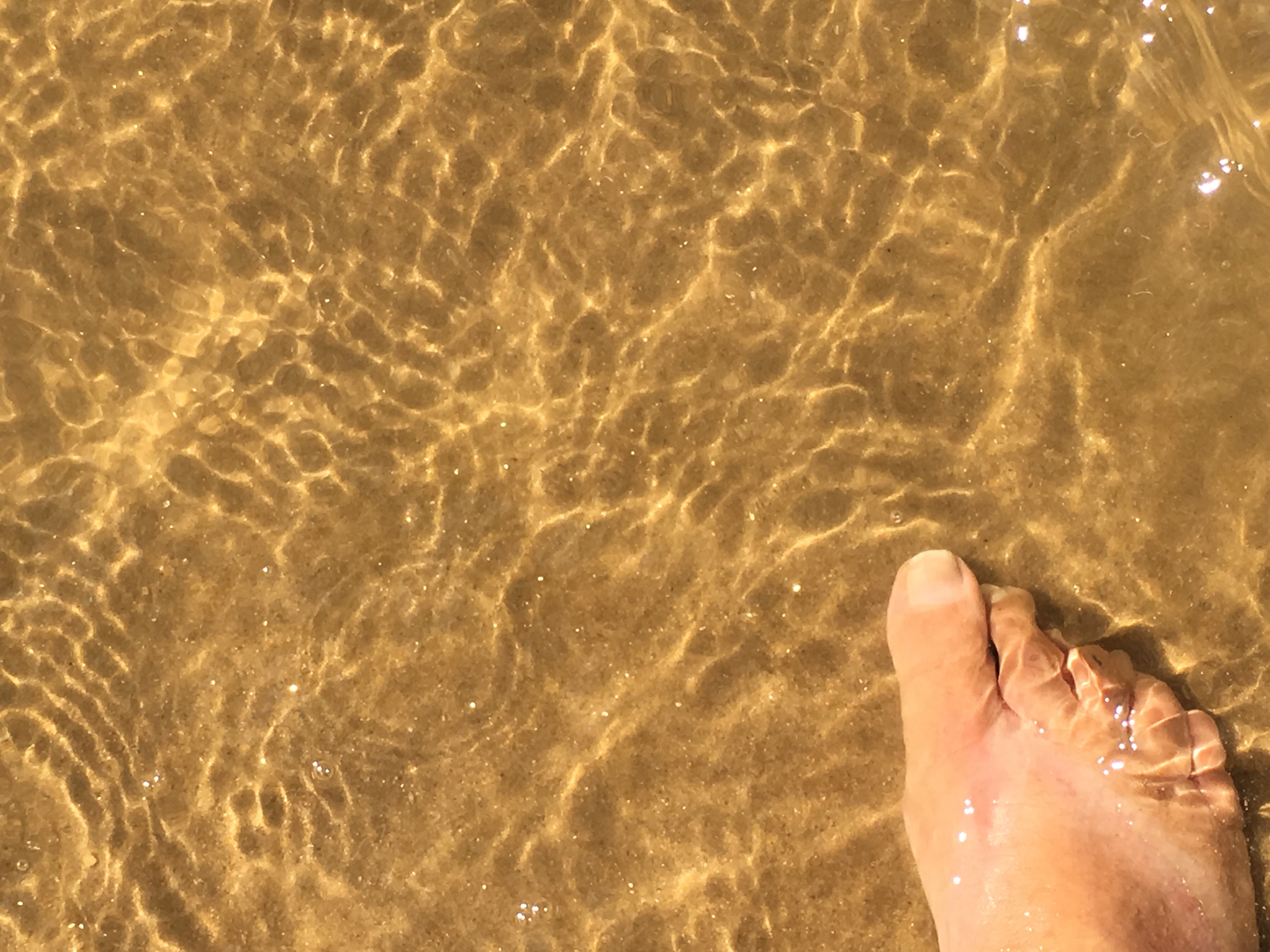 Dipping my toe in the water. – The Daily Snail