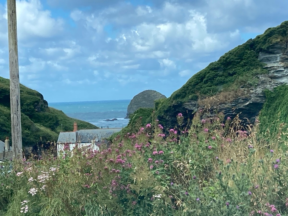 Myths & Magic of the Devon/Cornwall Coast – The Daily Snail
