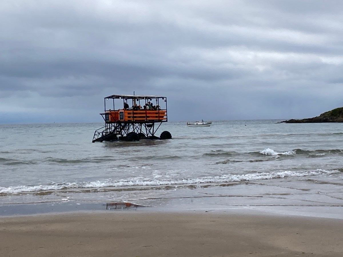 A Tractor Ride at High Tide – The Daily Snail